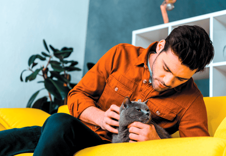 101 Great Cat Trivia Questions & Answers (+Facts) - IcebreakerIdeas