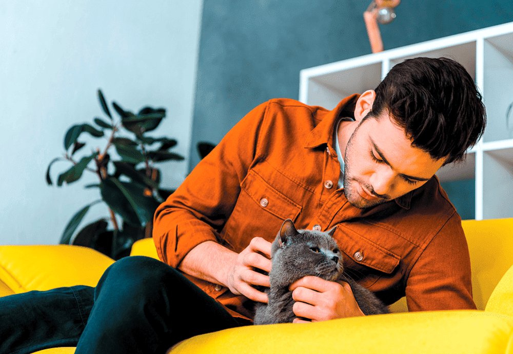 101 Great Cat Trivia Questions & Answers (+Facts) - IcebreakerIdeas